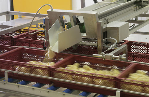 Chick counter - Pas Reform Hatchery Technologies