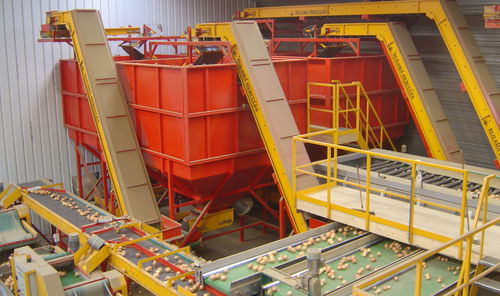 Potato elevator - BT-EL - Bijlsma Hercules B.V. - belt / inclined