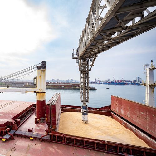 Bulk carrier ship unloader - Portaload ™ - Bühler Group - for grains