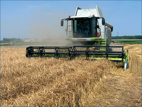 Grain harvesting header - CRX - CRESSONI F.lli spa - flex / folding