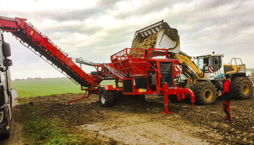 Beet cleaner-loader - RRL 200 eco - HOLMER Maschinenbau GmbH - sugar ...