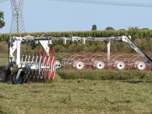 Rotary rake - 12+12VS - Repossi macchine agricole s.r.l. - center delivery