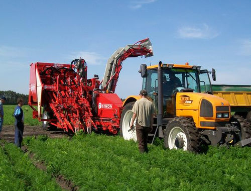 Carrot harvester machine - R3FCMR - SIMON - towed / 2-row