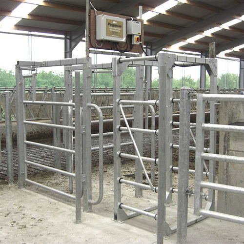 Cow sorting gate - Pegasus - ATL - Agricultural Technology Ltd.