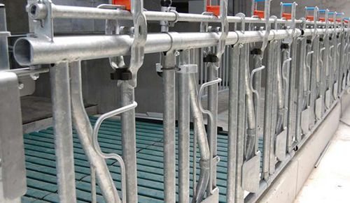 Cows headlock - BE, KS, Swedish, Diagonal Series - Beerepoot GmbH ...