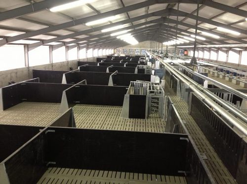 Slatted floor gestation stall - CAWI International - with drinker ...