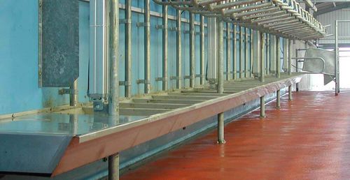 Cattle trough - Dairymaster - stainless steel / in milking parlor