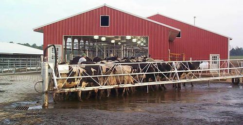 Crowd gate - CIRCULAR - Dairymaster