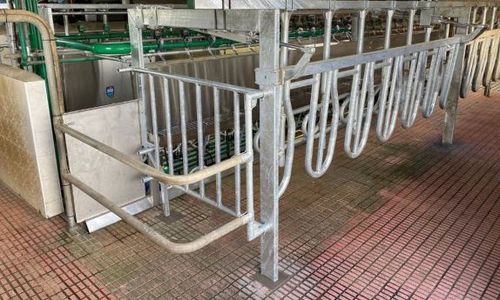 Cow milking parlour - 72 series - ELMEGA, S.L. - parallel / rapid exit