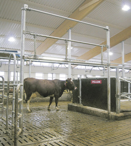 Livestock gate - Control - Pellon Group Oy - stable / for cows / metal