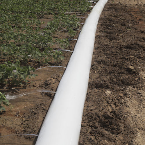 Hose - Polytube - Delta Plastics - irrigation / plastic / flat