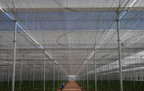 Climate-control screen system - Aluminet IC100 - Ginegar Plastic Inc ...