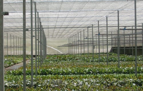 Climate-control screen system - Aluminet ''I" - Ginegar Plastic Inc ...