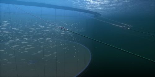 Basin separation aquaculture net - Vónin - nylon / Dyneema® / polyethylene