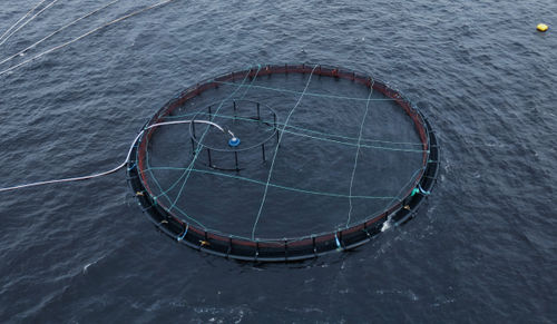 Floating fish cage - THE 400 - Mørenot Aquaculture AS - round