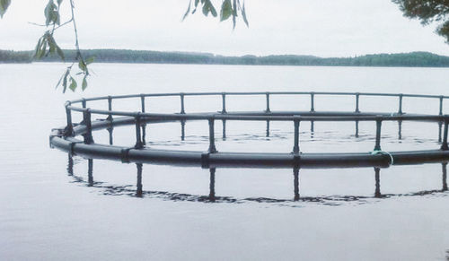 Floating fish cage - THE 250 - Mørenot Aquaculture AS - round