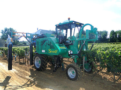 Straddle tractor - M01 - Somaref - mechanical transmission / vineyard ...