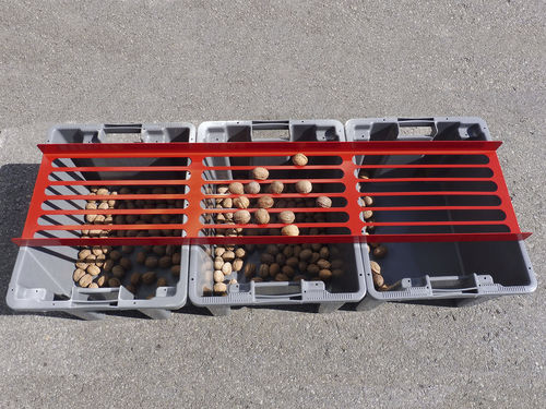 Hazelnut sorting gauge - FEUCHT Obsttechnik GmbH - walnut