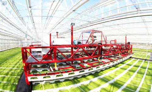 Greenhouse transport cart - X-Y - Flier Systems - rail-mounted