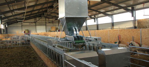 Goat manual feed distribution unit - Galonnier - sheep / hopper ...