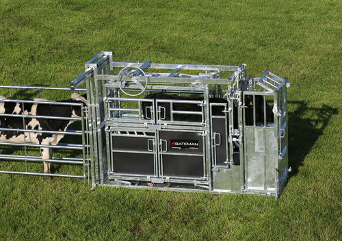 Cattle squeeze chute - Ambassador - LM Bateman - adjustable-width
