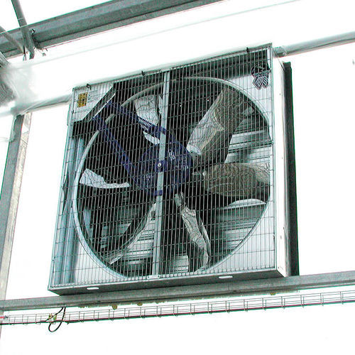 Extraction fan - Ulma - for greenhouse / wall-mounted