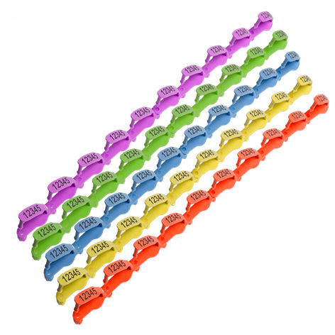 Sheep ear tag - PAZ - Zee Tags - goat / plastic