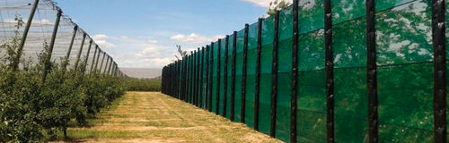 Wind protection netting - LIBECCIO - Arrigoni - drying / HDPE / polyester