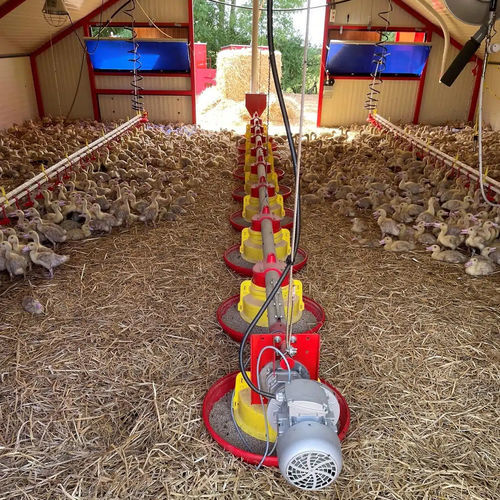 Duck feeder - PAG - CABI GROUP - plastic / multi-access / circular