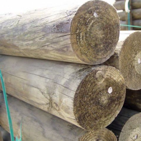 Trellis post - Carmo - wooden / for orchards