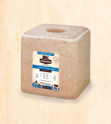 Cattle lick block - Cobalt Iodized Block - Redmond Minerals, Inc ...