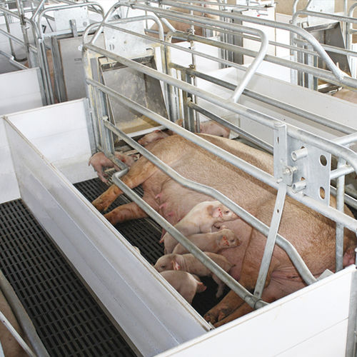 Farrowing pen - Canarm AgSystems