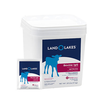 Calf colostrum replacer - Bovine IgG - Land O'Lakes Animal Milk ...