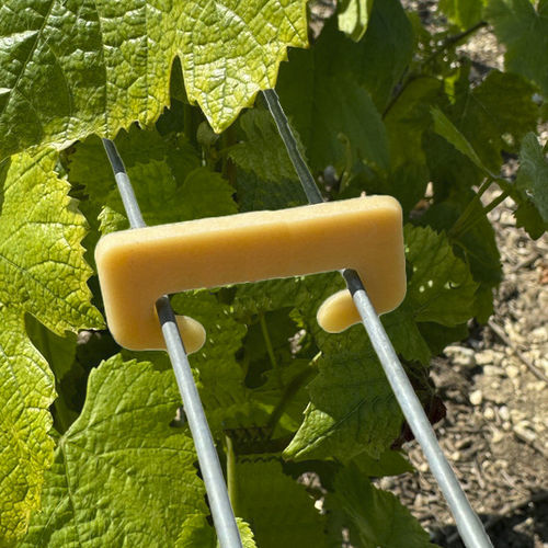 Vineyard staple - VITAGRAF 30 VÉGÉTAL® - CAVI group - biodegradable