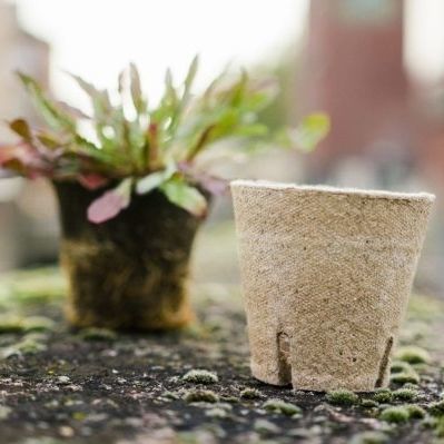 Wood pulp pot - Jiffy Products International BV - round / square ...