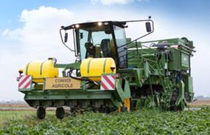 Beet harvester machine - Pouchain - self-propelled