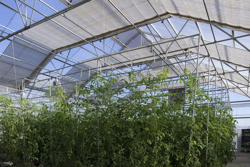 Shade screen system - Conley's Manufacturing & Sales - energy / for ...