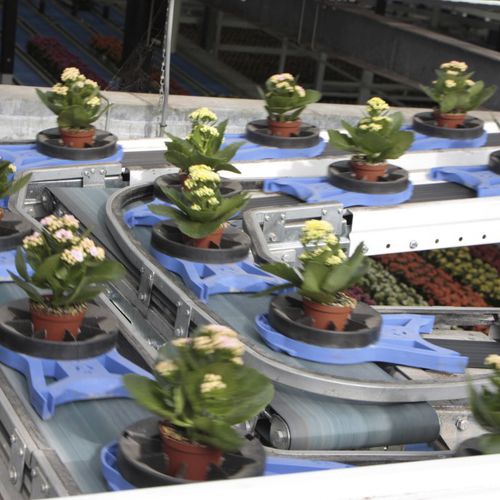 Plant phenotyping robot - WPS - for greenhouse / automated
