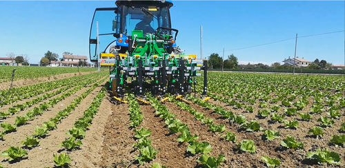 Tractor-mounted mechanical weeder - Maintech Srl - weeding / 3-point
