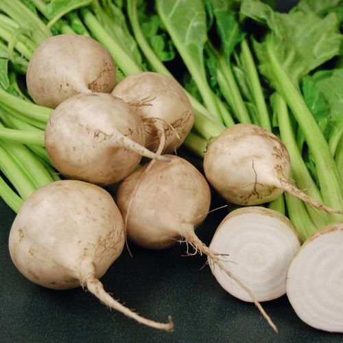 Edible beet seed - AVALANCHE F1 - Bejo Zaden B.V. - cercosporiosis ...