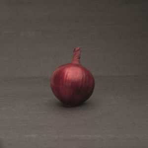 Hybrid onion seed - Redspark - Elsoms Seeds