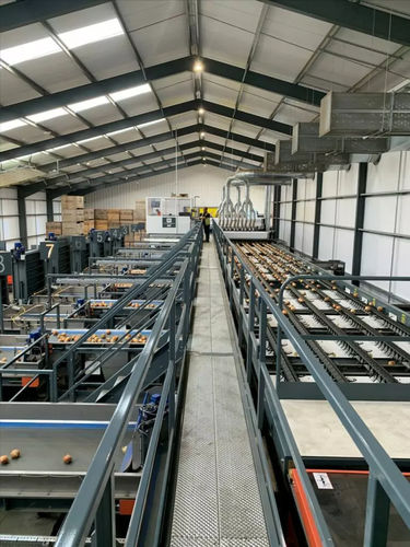 Electronic vision grader - MAF RODA - Tong Engineering - automatic