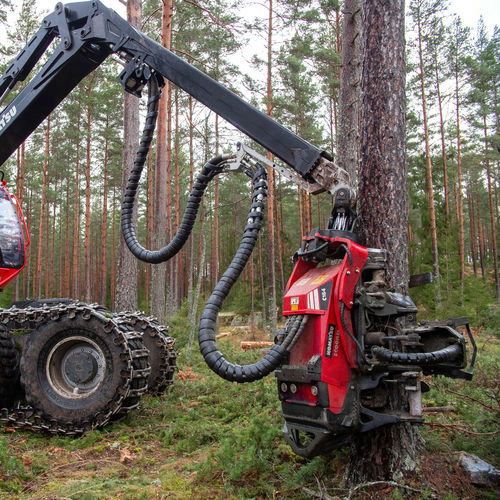 Forest thinning felling head - C164 - Komatsu Forest AB - with delimber