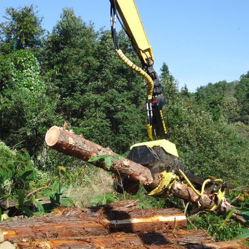 Telescopic felling head - AFM 1000 - AFM-Forest Ltd - with delimber