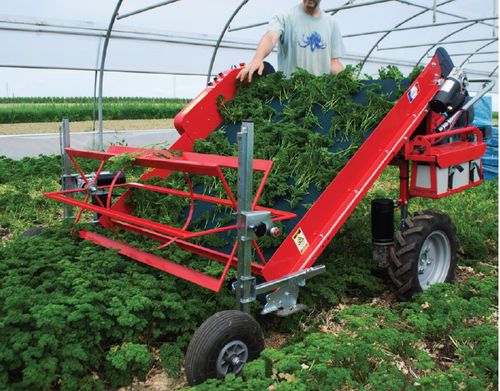 Vegetable harvester machine - VegTerra TR120 - Pack TTI / Weber Cooling ...