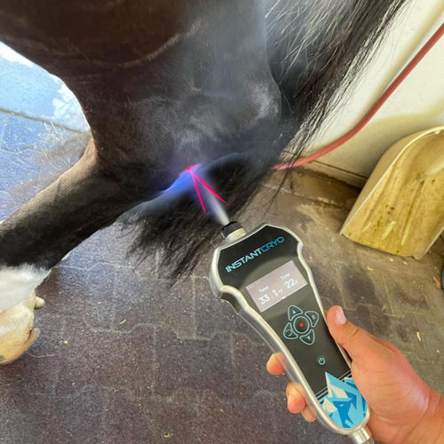 Gas veterinary cryotherapy unit - INSTANTCRYO ™ - ECB Equine Spa - for ...