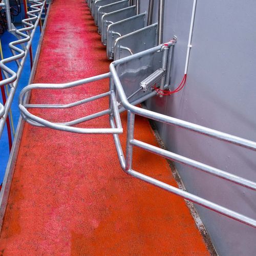 Livestock gate - 50 Degree - Pearson International - stable / for cows ...