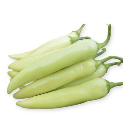 Early pepper seed - Muria F1 - eastwestseed - red / hybrid / yellow