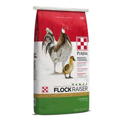 Animal feed supplement - Flock Raiser® - Purina Mills - poultry ...