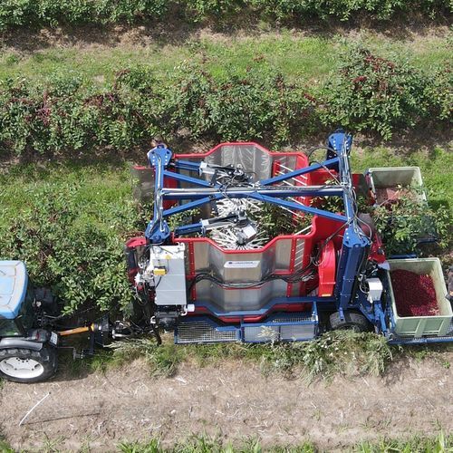 Fruit harvester machine - 300 - JAGODA JPS Agromachines - tractor-mounted
